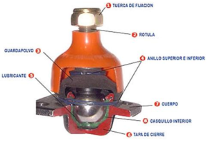 RÓTULA, LA ARTICULACIÓN DEL VEHÍCULO - Blog CDR